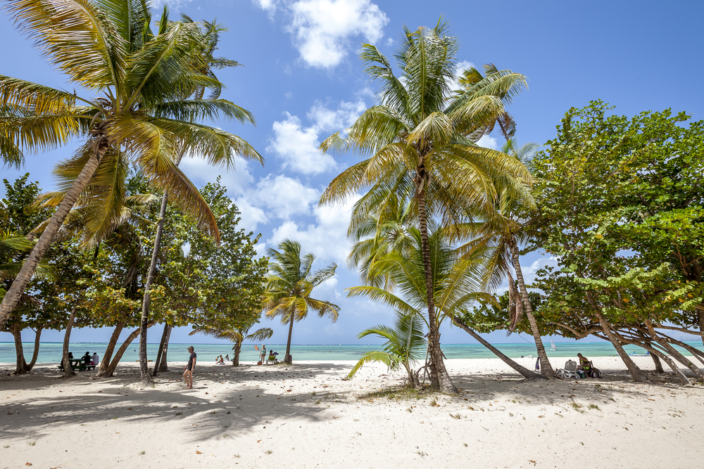 Top Hidden Bays and Beaches in Tobago by Holiday Genie